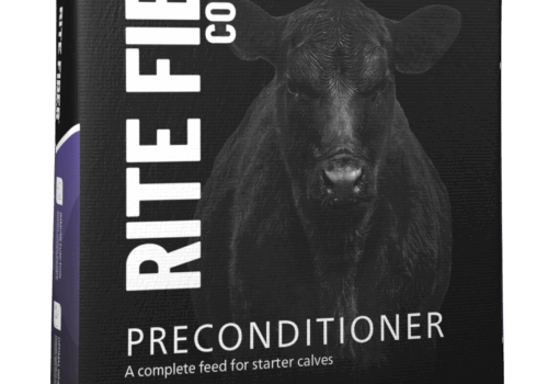 Cattle Feeds – Show-Rite