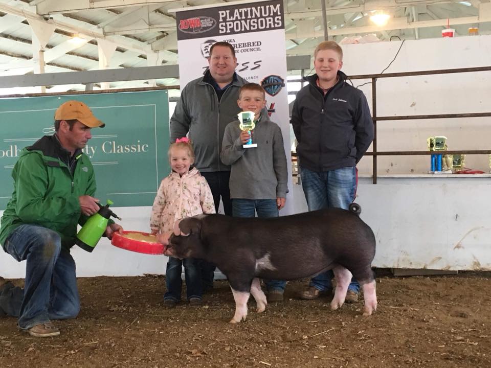 Show Pig Feed & Supplements – Show-Rite