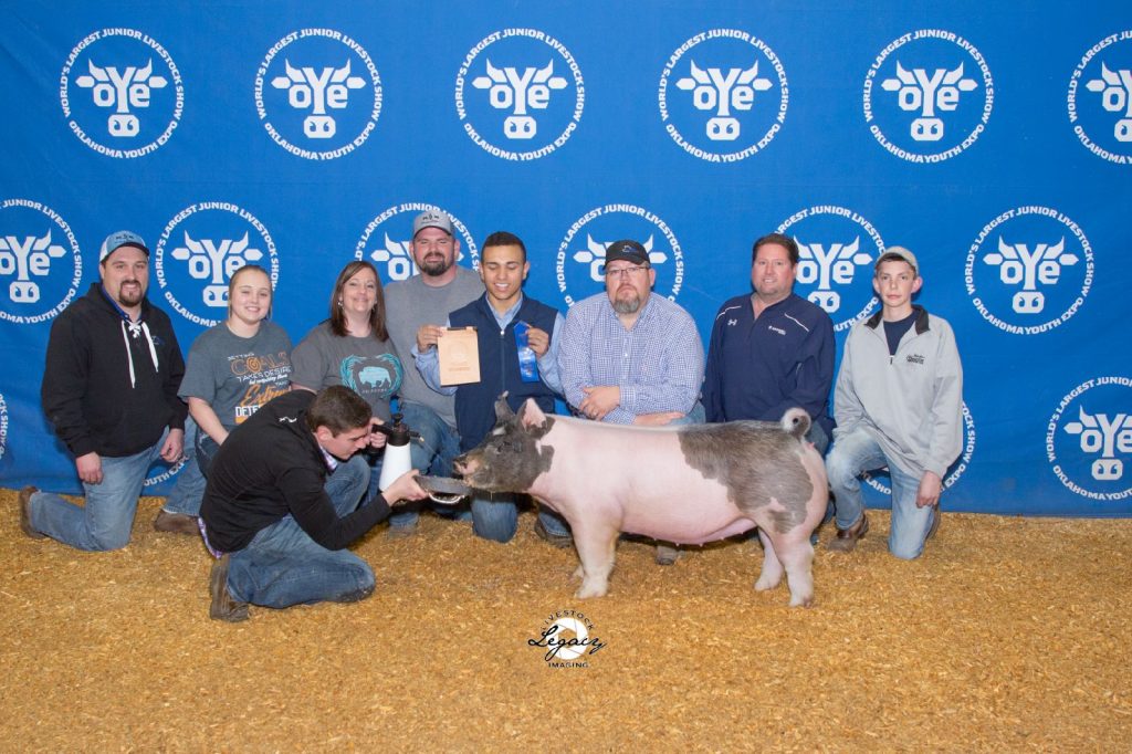 Show Pig Feed & Supplements – Show-Rite