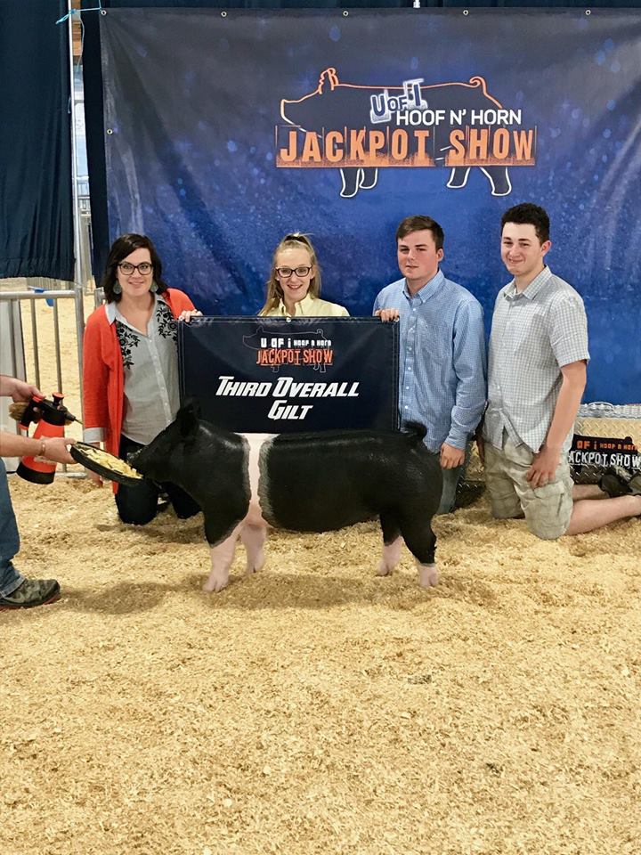 Show Pig Feed & Supplements – Show-Rite