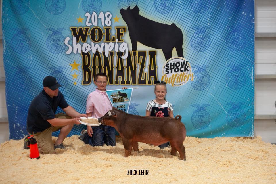 Show Pig Feed & Supplements – Show-Rite