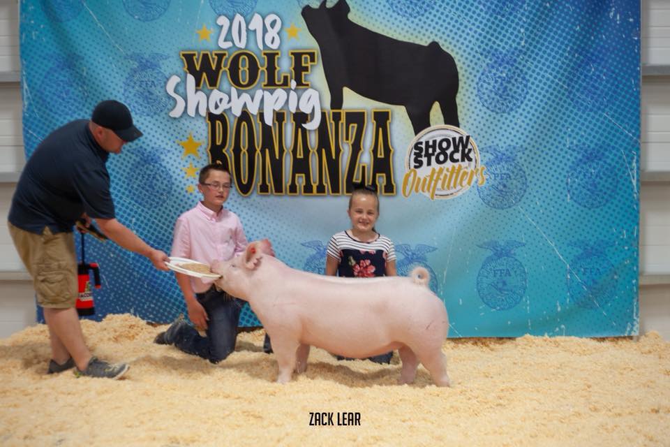 Show Cattle Feed & Supplements – Show-Rite