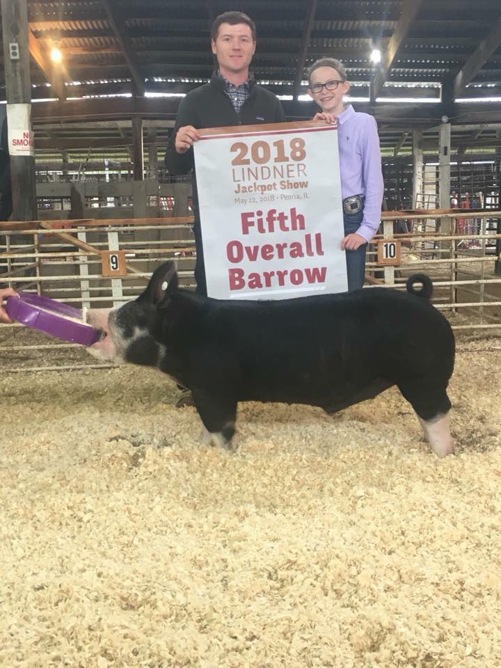 Show Pig Feed & Supplements – Show-Rite