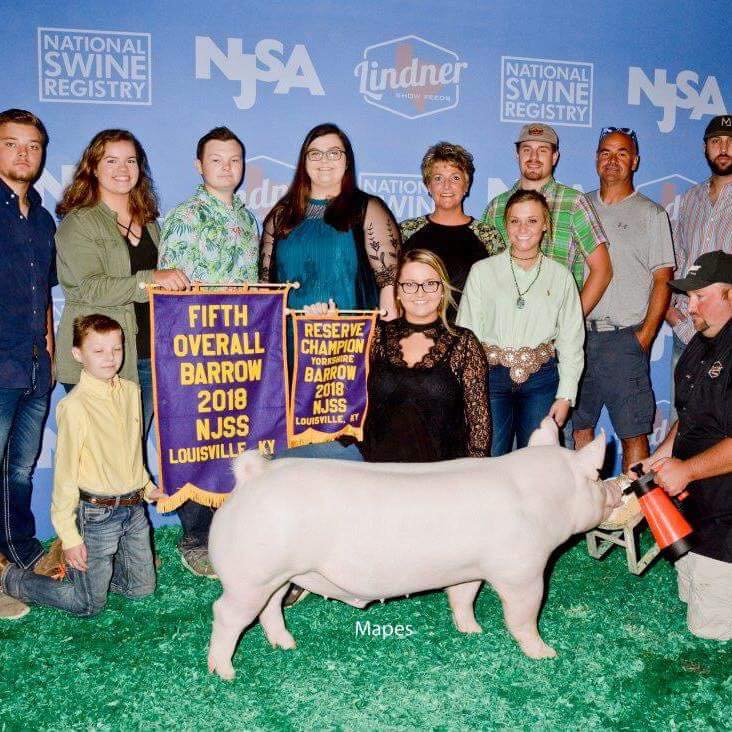 Show Pig Feed & Supplements – Show-Rite