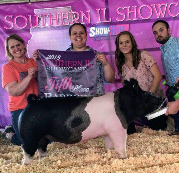 Show Cattle Feed & Supplements – Show-Rite