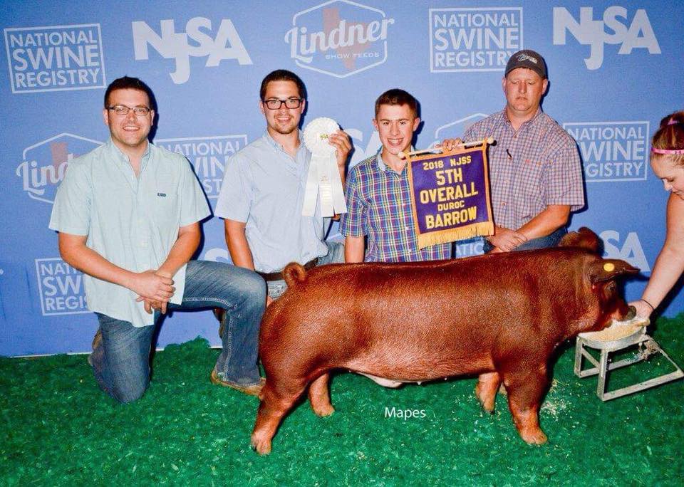 Show Cattle Feed & Supplements – Show-Rite