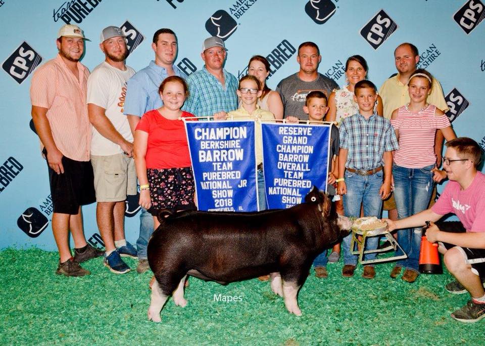 Show Cattle Feed & Supplements – Show-Rite