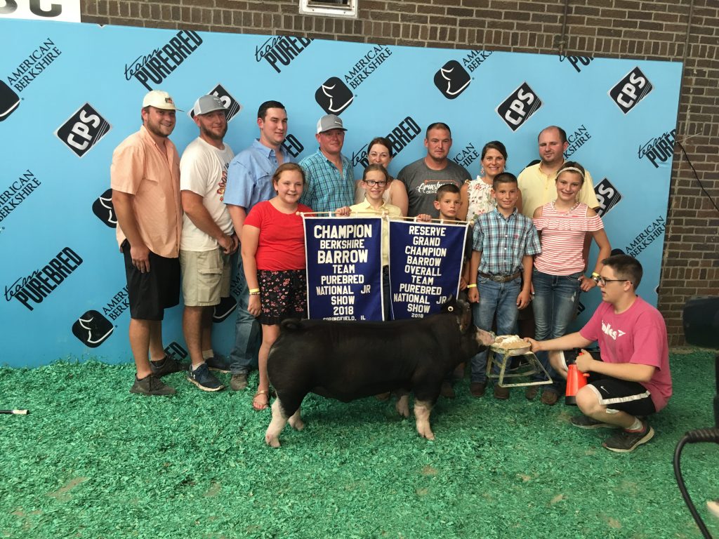 Show Cattle Feed & Supplements – Show-Rite