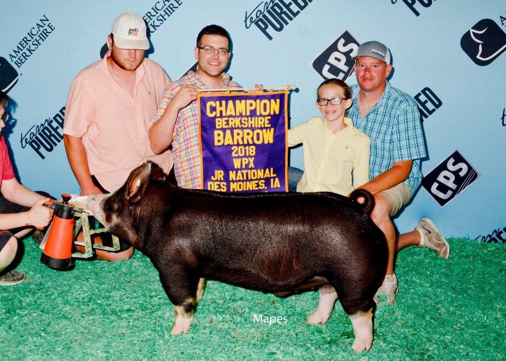 Show Pig Feed & Supplements – Show-Rite