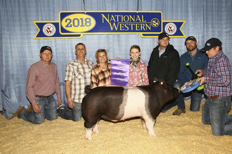 Show Pig Feed & Supplements – Show-Rite