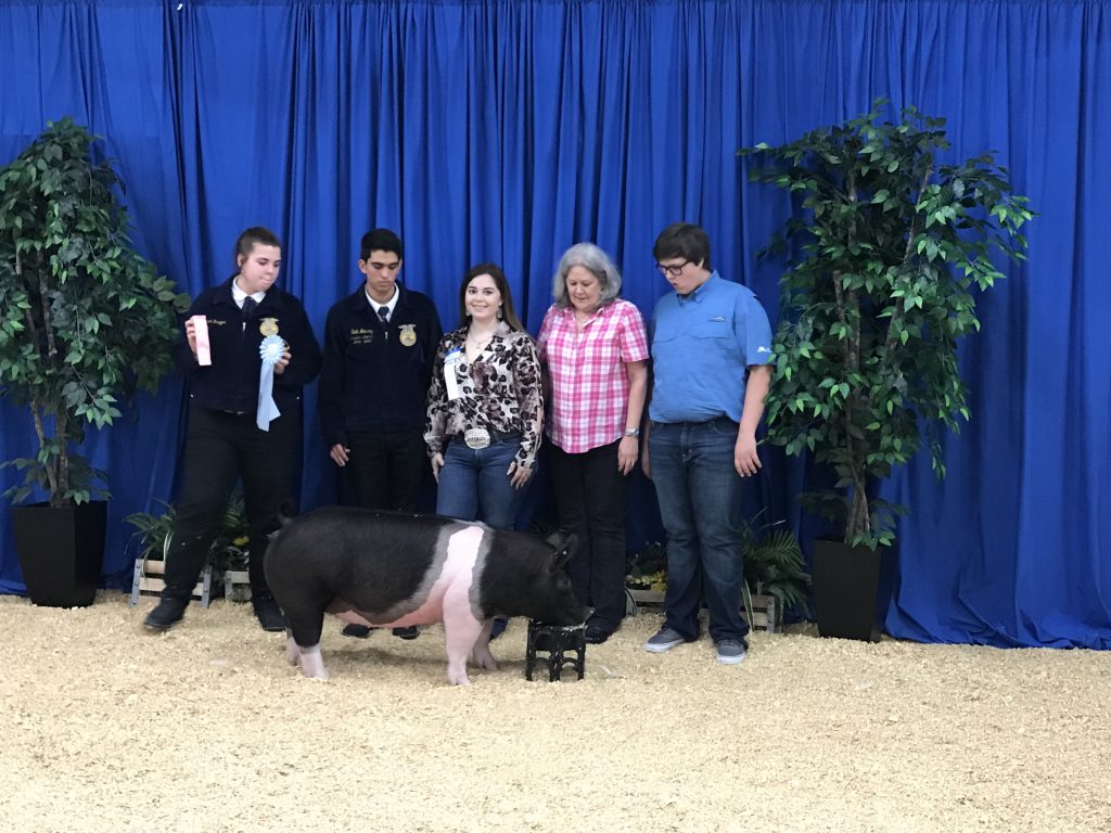 Show Pig Feed & Supplements – Show-Rite