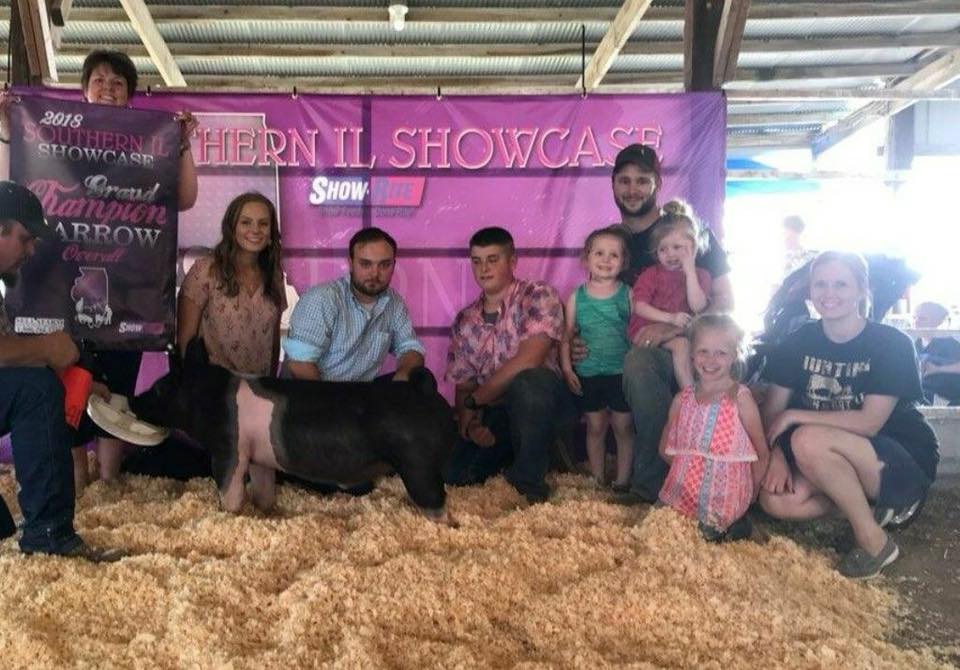 Show Cattle Feed & Supplements – Show-Rite