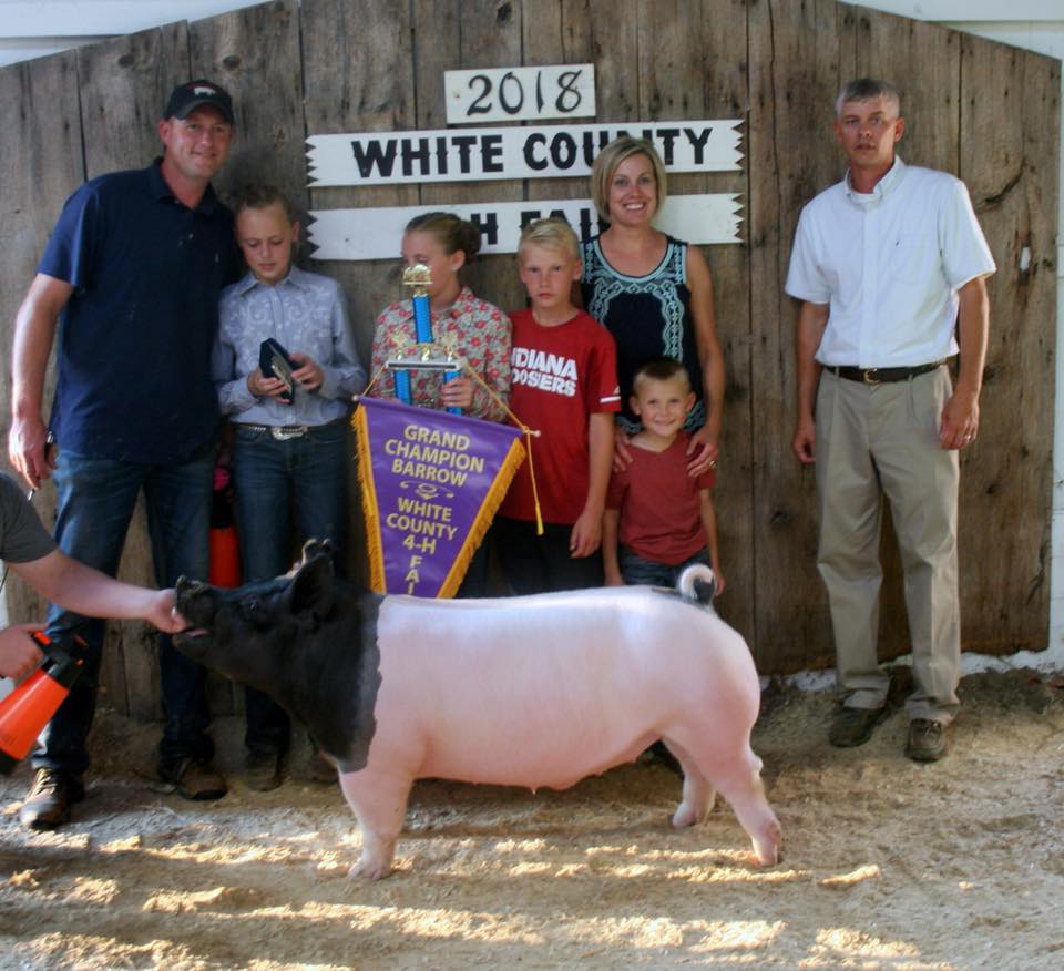 Show Pig Feed & Supplements – Show-Rite