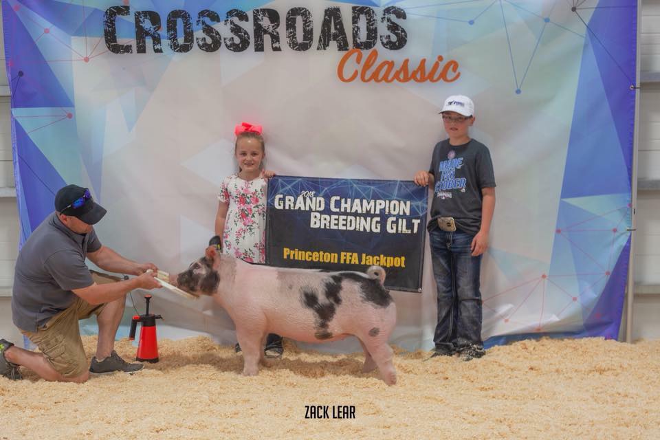 Show Pig Feed & Supplements – Show-Rite