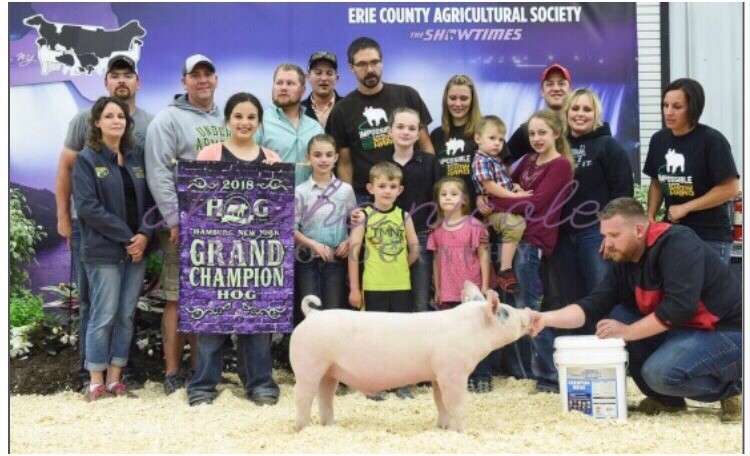 Show Cattle Feed & Supplements – Show-Rite