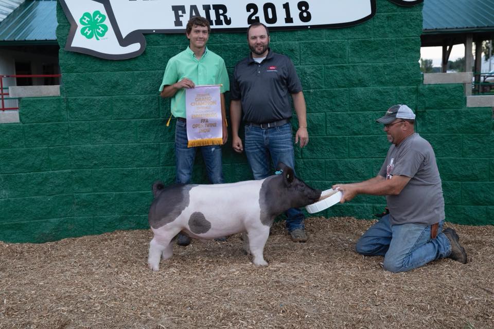 Show Cattle Feed & Supplements – Show-Rite