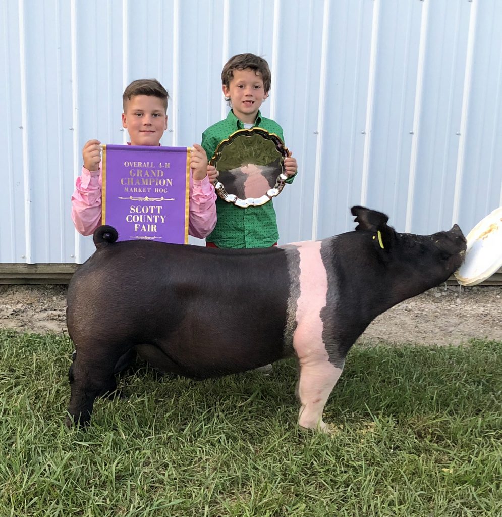 Show Pig Feed & Supplements – Show-Rite