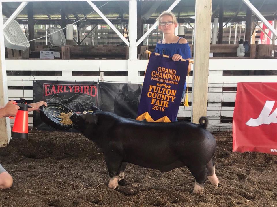 Show Pig Feed & Supplements – Show-Rite