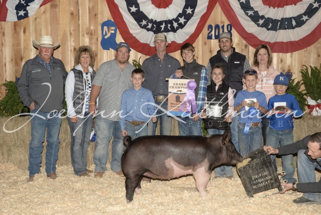 Show Pig Feed & Supplements – Show-Rite