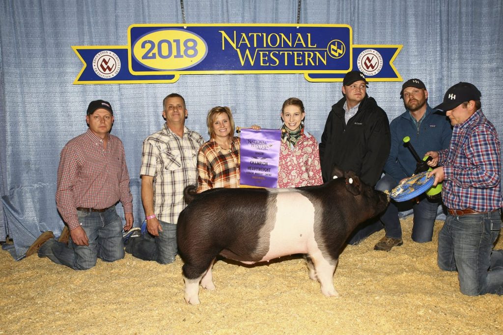 Show Cattle Feed & Supplements – Show-Rite