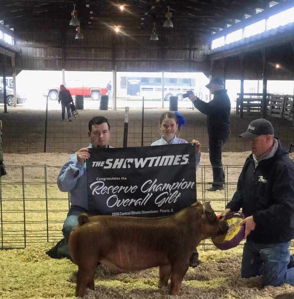 Show Cattle Feed & Supplements – Show-Rite