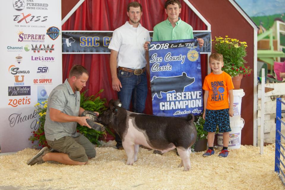 Show Pig Feed & Supplements – Show-Rite