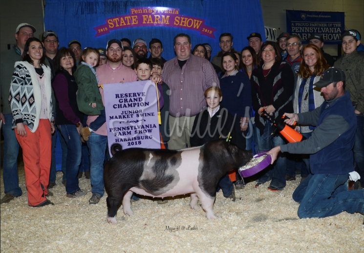 Show Pig Feed & Supplements – Show-Rite