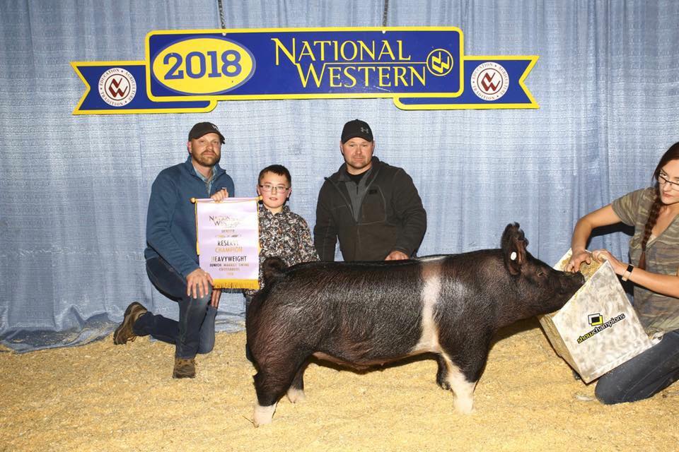 Show Pig Feed & Supplements – Show-Rite