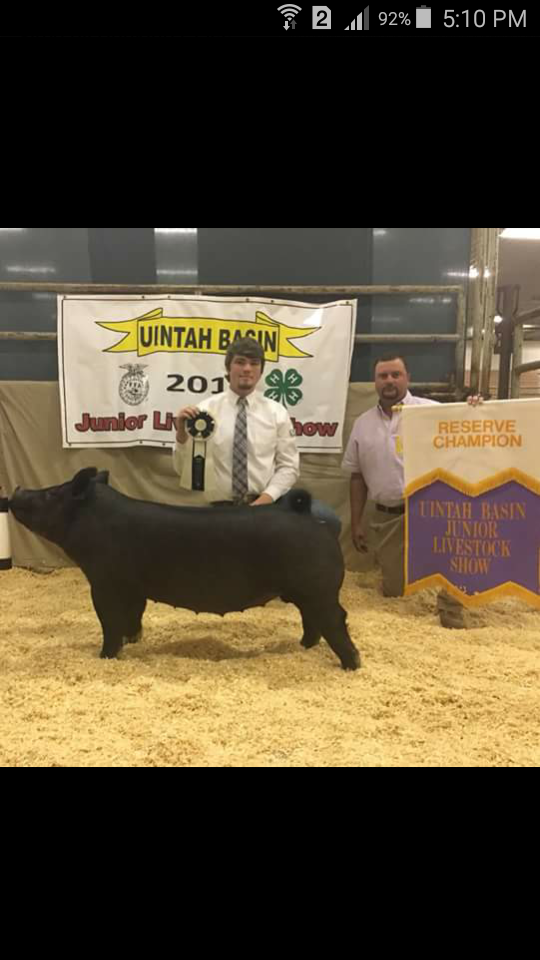 Show Pig Feed & Supplements – Show-Rite