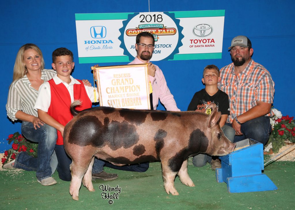 Show Cattle Feed & Supplements – Show-Rite