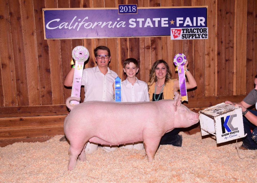 Show Pig Feed & Supplements – Show-Rite