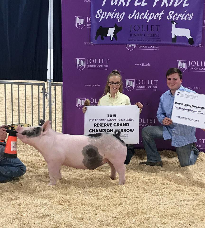 Show Pig Feed & Supplements – Show-Rite