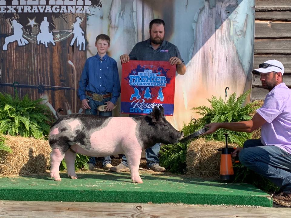 2019 Pig Champions – Show-Rite