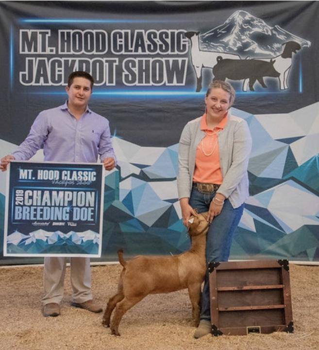 2019 Pig Champions – Show-Rite