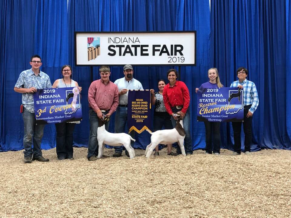 2019 Pig Champions – Show-Rite