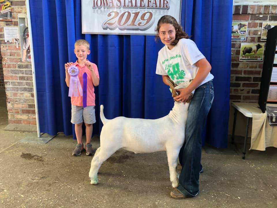 2019 Pig Champions – Show-Rite