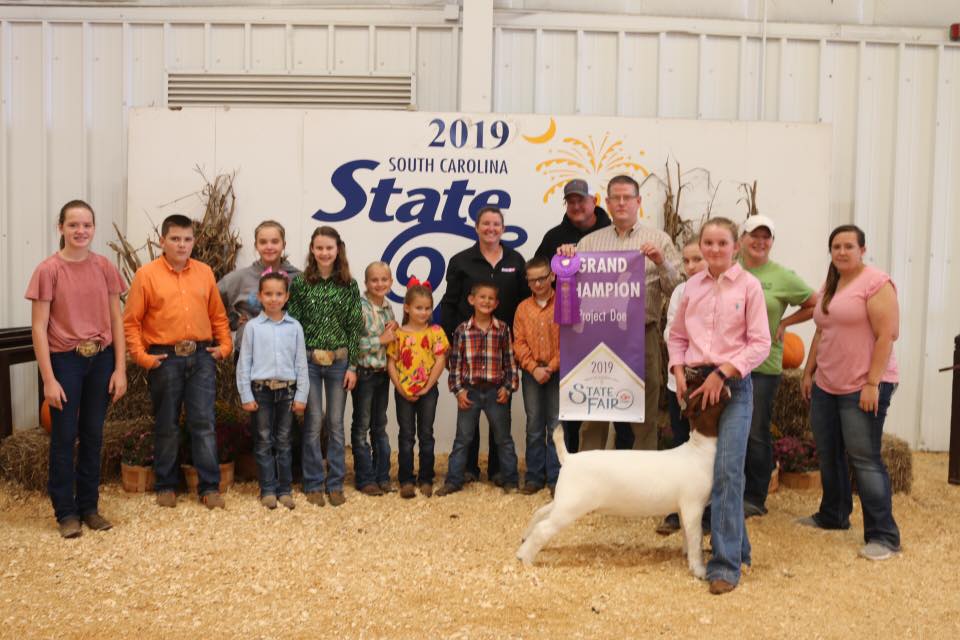 2019 Pig Champions – Show-Rite