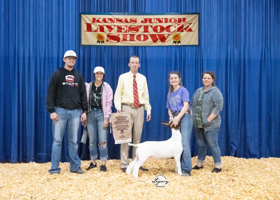 Show Rite Goat R20 at Donna Casas blog