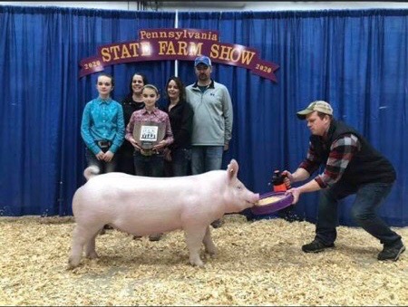 Show Cattle Feed & Supplements – Show-Rite