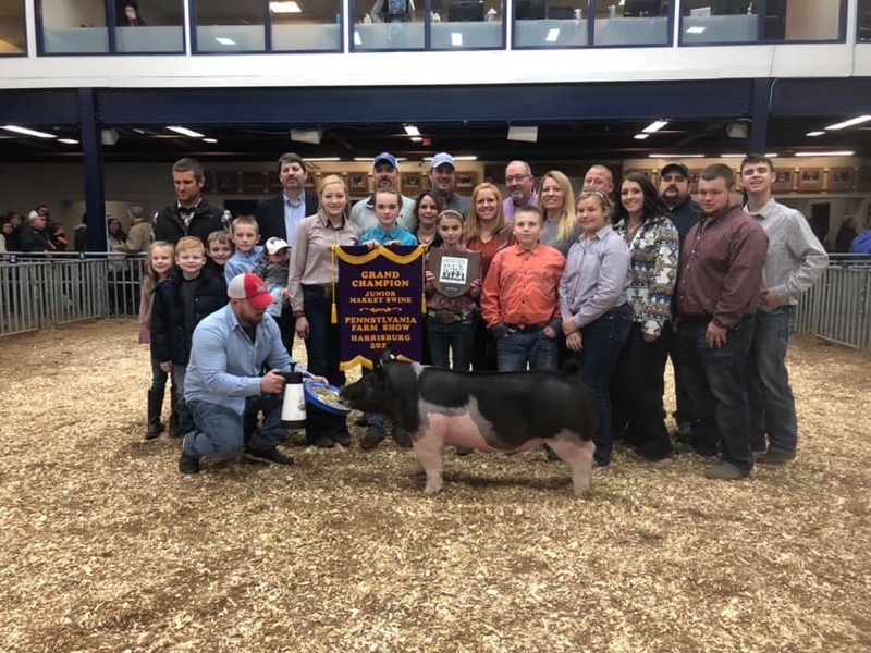 Show Cattle Feed & Supplements – Show-Rite