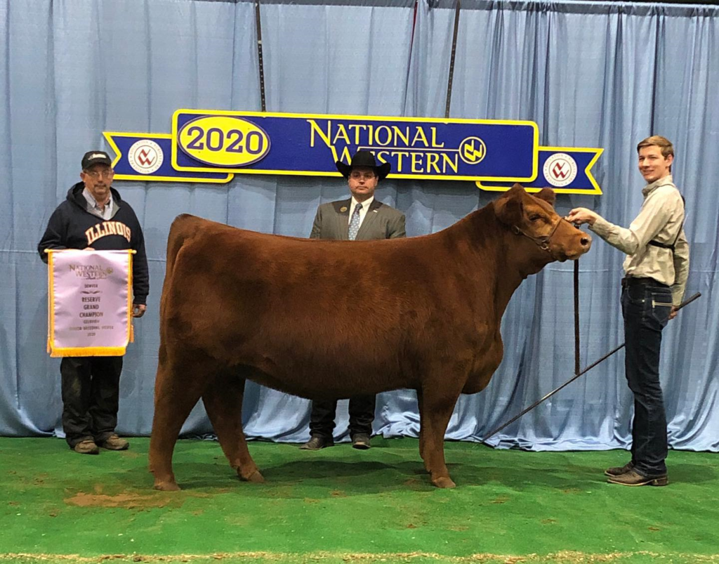 2022 Pig Champions – Show-Rite