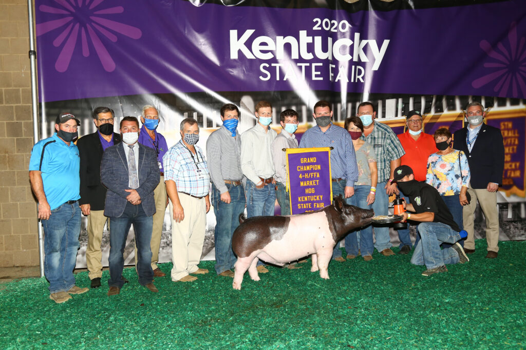 Show Cattle Feed & Supplements – Show-Rite