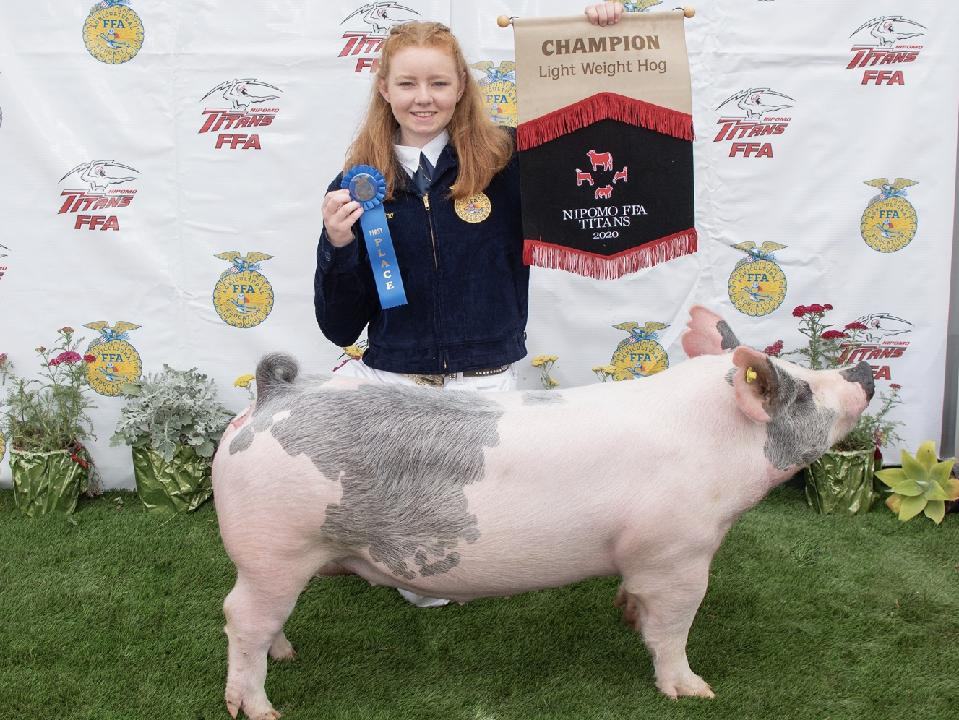 Show Cattle Feed & Supplements – Show-Rite