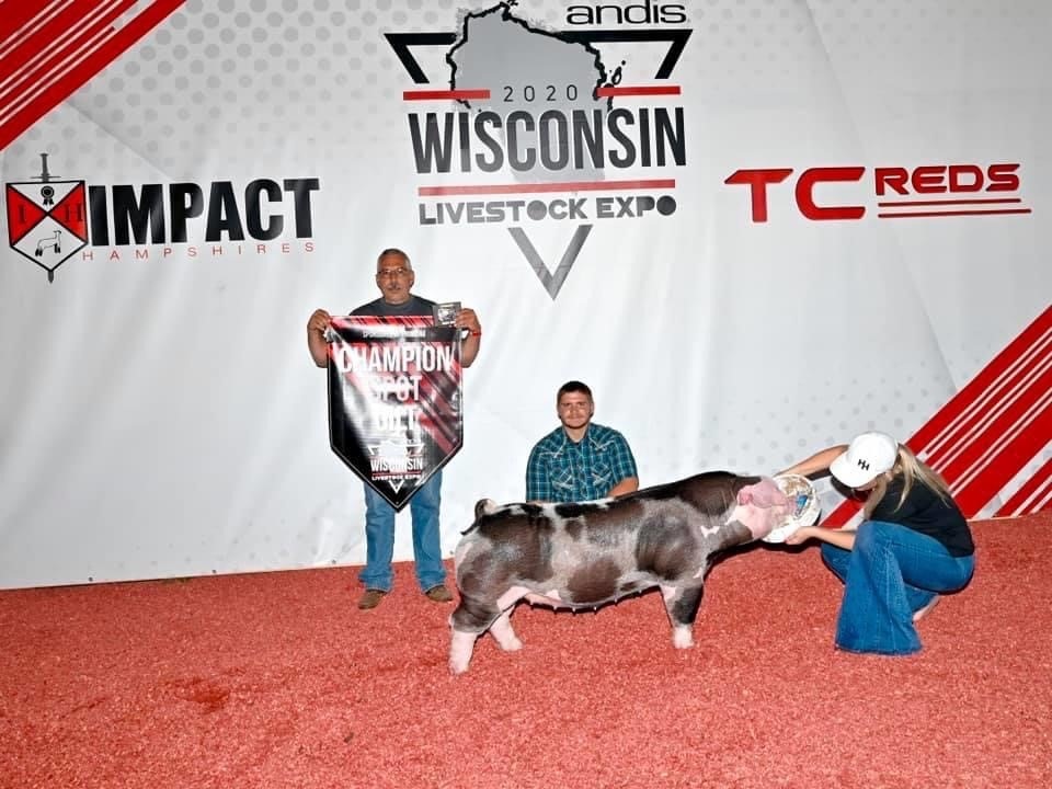 Show Cattle Feed & Supplements – Show-Rite