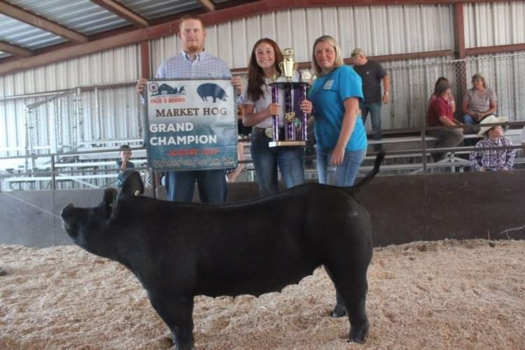 Show Cattle Feed & Supplements – Show-Rite