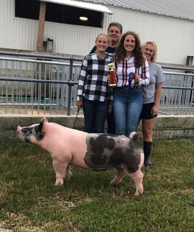 Show Cattle Feed & Supplements – Show-Rite