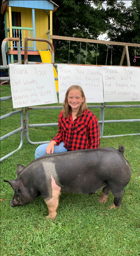 Show Cattle Feed & Supplements – Show-Rite