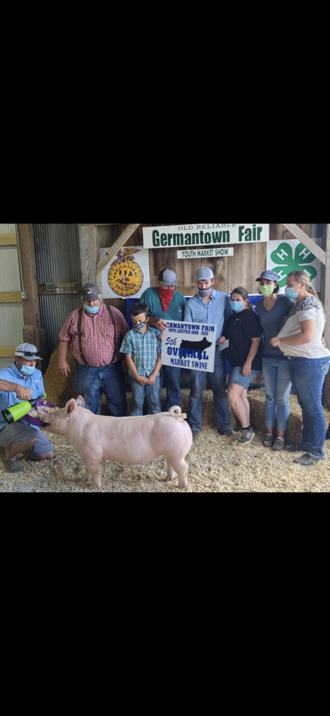 Show Cattle Feed & Supplements – Show-Rite