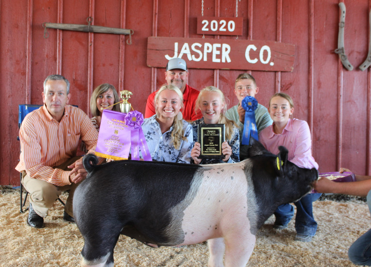 Show Cattle Feed & Supplements – Show-Rite