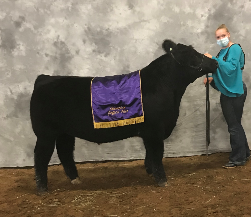 2020 Cattle Champions – Show-Rite